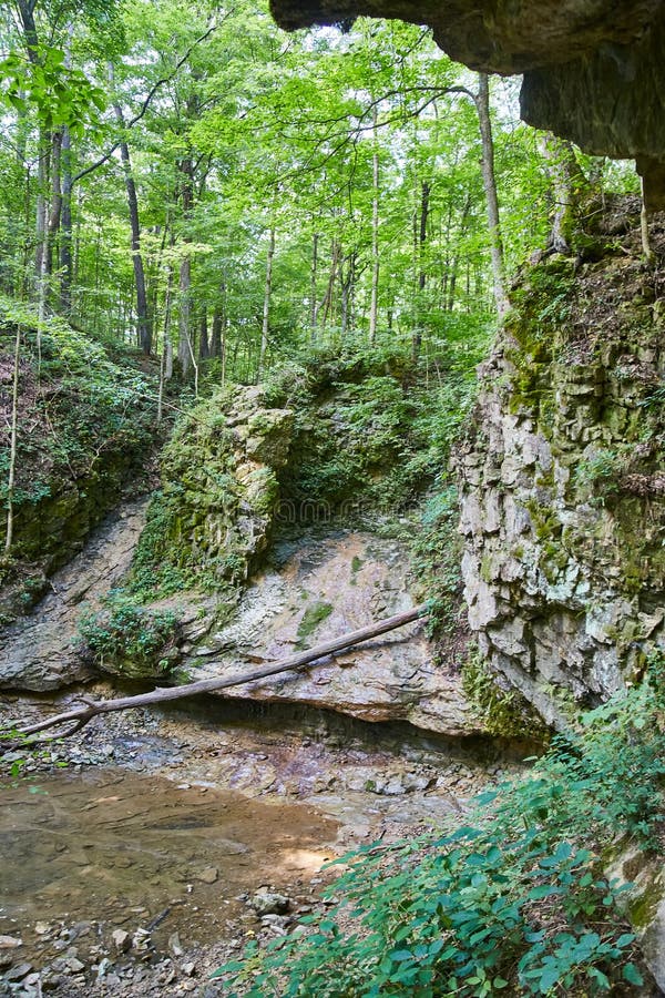 Sloping Cliff Walls with a Fallen Tree that Rests Near a Small Pool of ...