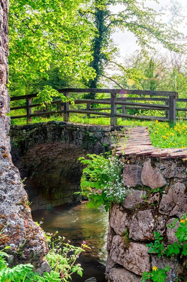 Image of a Small Bridge in Nature Stock Photo - Image of beautiful ...
