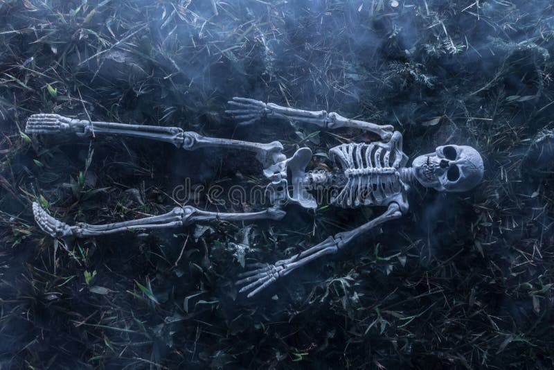 Scary Skeleton Lying in Grass Stock Photo - Image of night, dark: 100148384