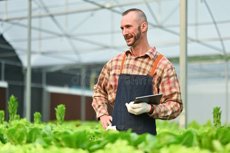 Image of Smart Farmer Using Digital Tablet, Inspecting Quality Control ...