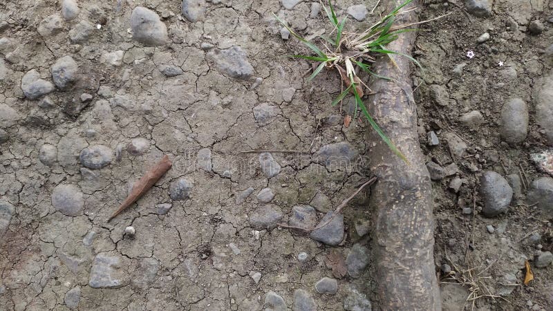 Image of Soil Texture with Rock Plus Fallen Leaves Stock Image - Image ...
