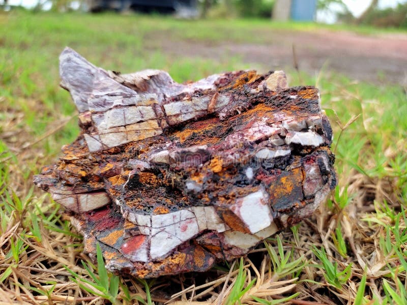 Image of a Solid Mineral Rock on the Grass Stock Image - Image of ...