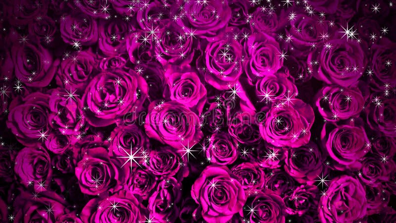 Image of Sparkling Roses on a Background Stock Photo - Image of green ...