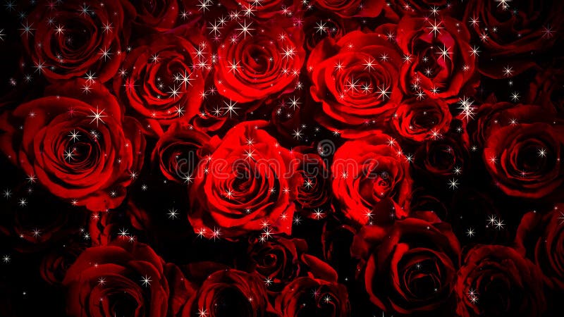 Image of Sparkling Roses on a Background Stock Image - Image of ...