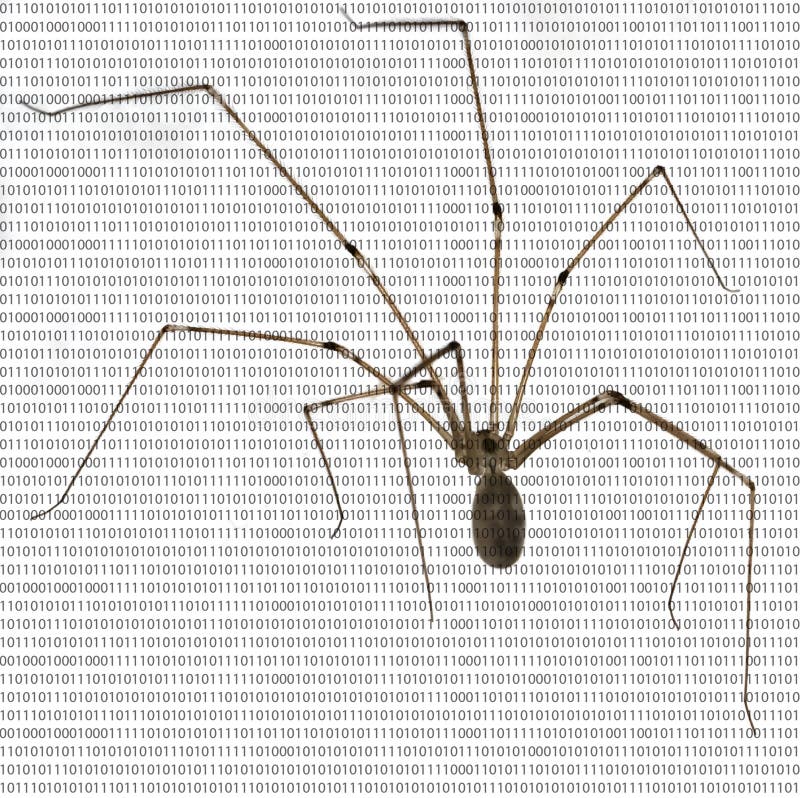 Image Of A Spider With Long Tentacles On The Background Of A Binary Code Stock Image Image Of