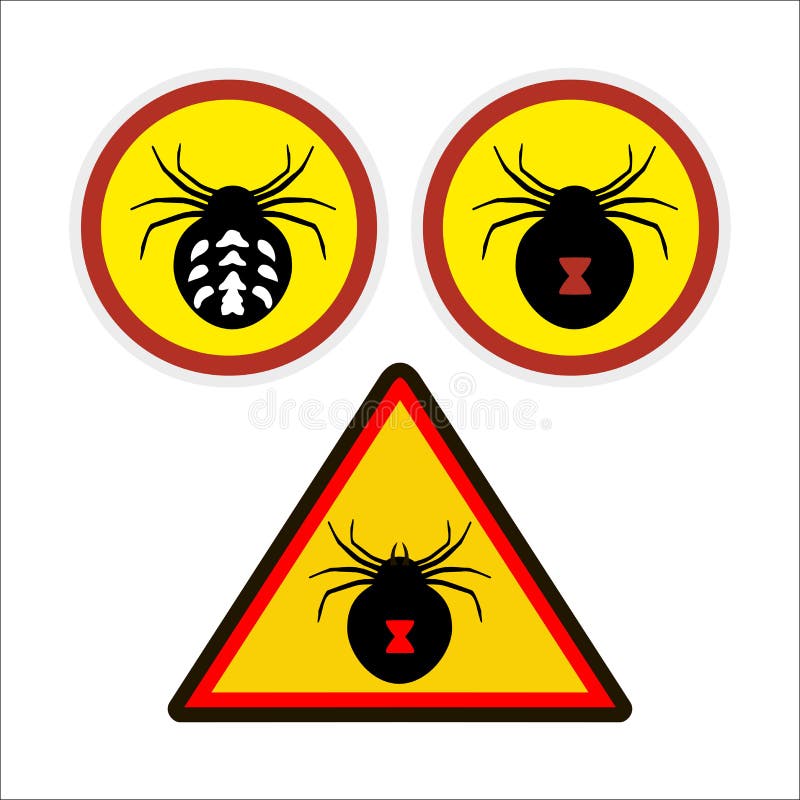 The Image of a Spider. Warning Sign Stock Vector - Illustration of ...
