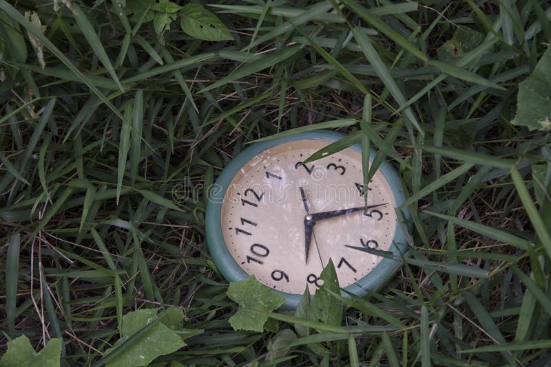 383 Spoiled Sign Stock Photos - Free & Royalty-Free Stock Photos from ...