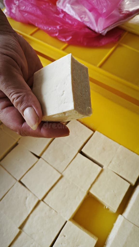 Square-shaped Soft Solid White Tofu Blocks in the Yellow Plastic Tray ...