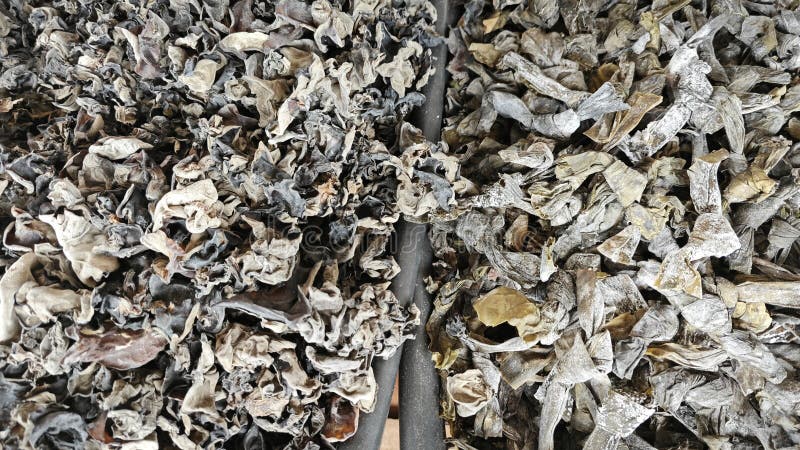 Stacks of the Chinese Edible Dried Fungus Stock Photo - Image of ...