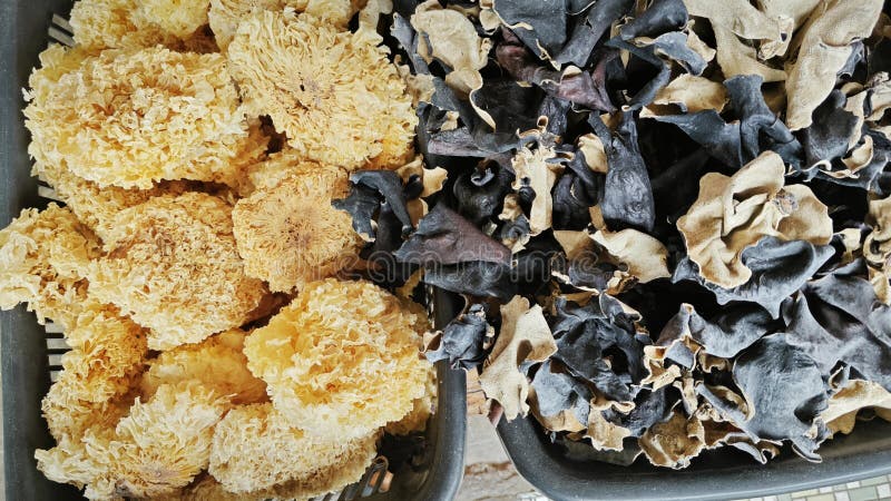 Stacks of the Chinese Edible Dried Fungus Stock Image - Image of tree ...