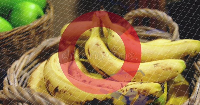 Image of Statistics and Data Processing Over Fruit in Baskets in Food ...