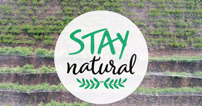 Image of Stay Natural Text Over Field Stock Photo - Image of clean ...
