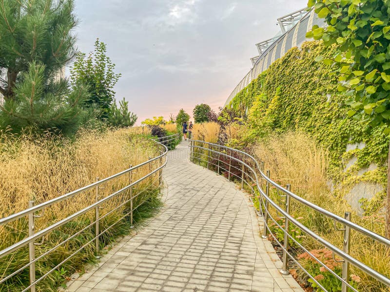 Image of a Stone-paved Pathway Bordered by Lush Greenery and Flowering ...