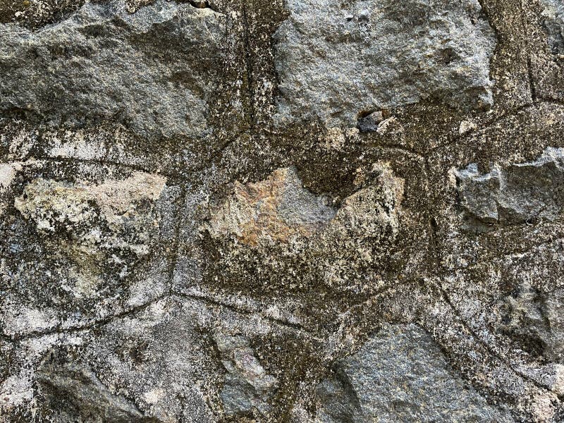 Image of Stone Texture with Moss.Mossy Rock Texture Stock Image - Image ...