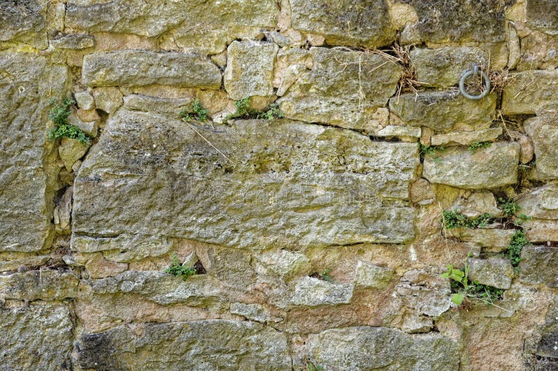 Image of a Stone Wall with Patches of Grass Highlighting the Cracks and ...