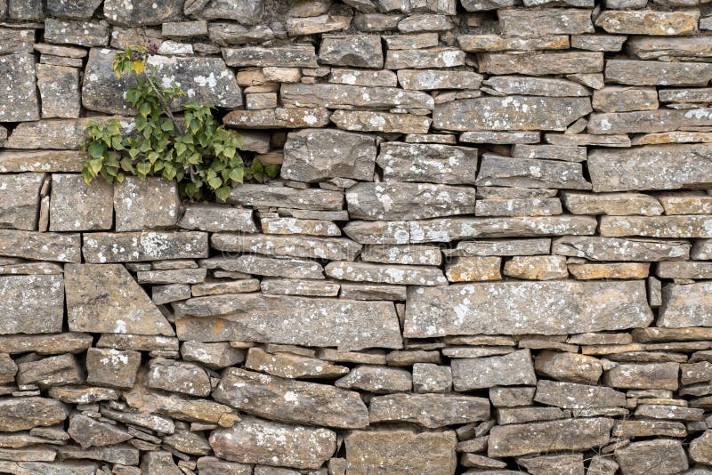 Image of Stone Wall in Rural Environment Stock Photo - Image of retro ...
