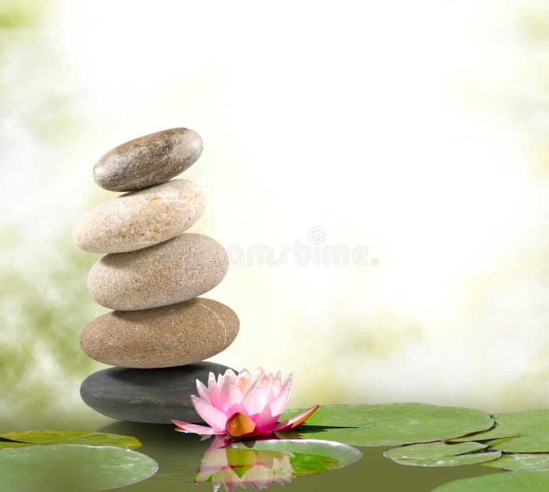 Image of Stones and Lotus Flower on the Water. Stock Image - Image of ...
