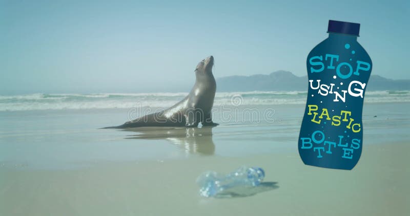 Image of Stop Using Plastic Bottles Text on Bottle Over Seal and ...
