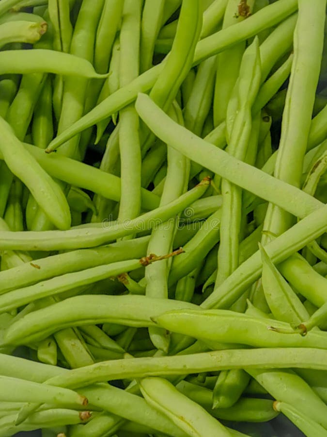 Raw string beans stock image. Image of nutrients, vegetable - 186876815