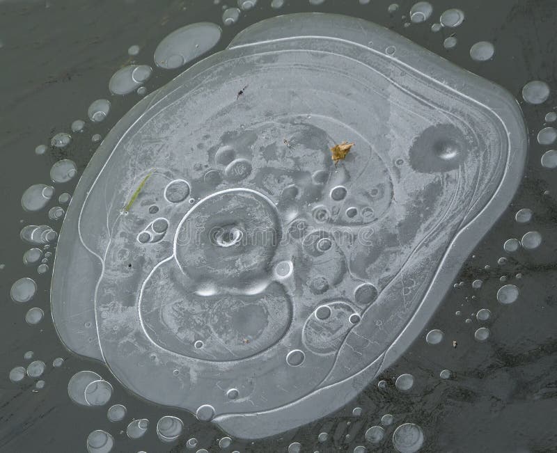 Image in the Style of Salvador Dali Stock Image - Image of dali ...