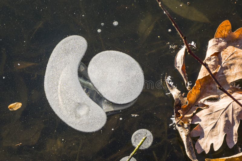 Image in the Style of Salvador Dali Stock Photo - Image of abstraction ...