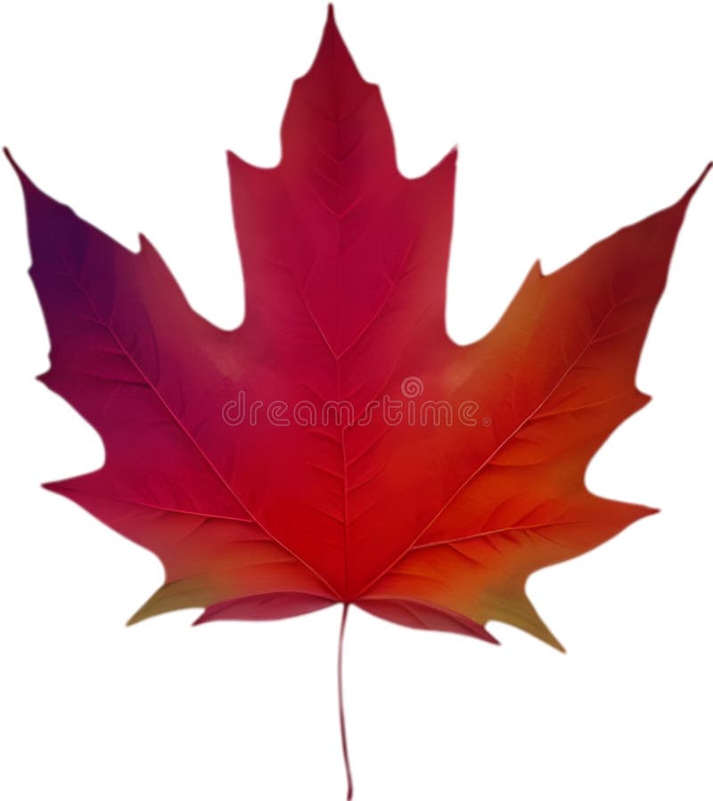 An Image of a Stylized Leaf. Stock Photo - Illustration of solid, green ...