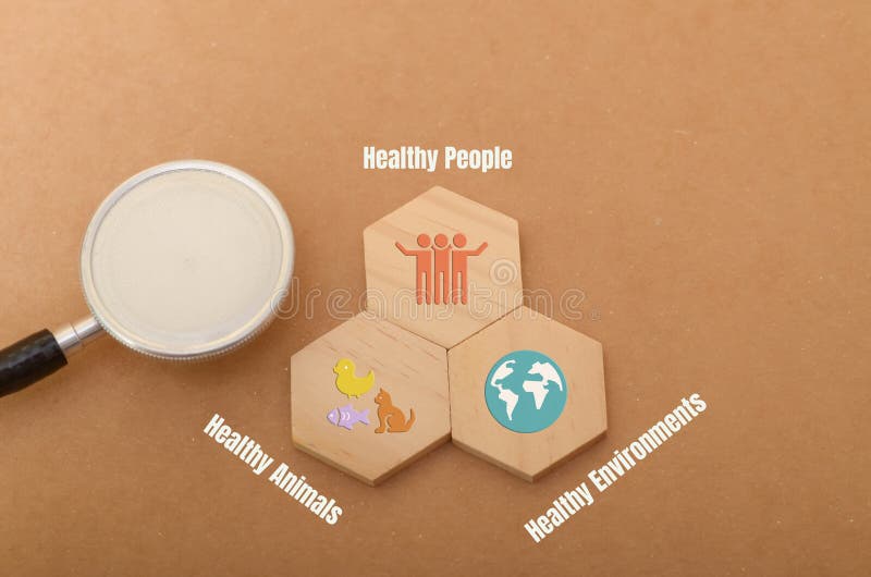 The Image Suggests that Human Health, Animal Health, and Environmental ...
