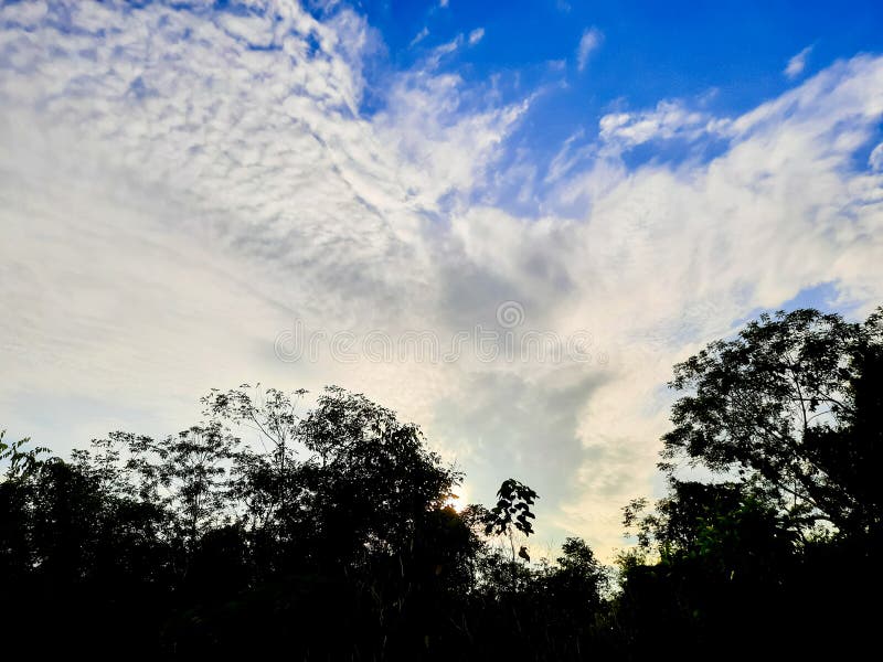 Portrait of a Cloudy Blue Sky and Silhouetted Trees Stock Image - Image ...