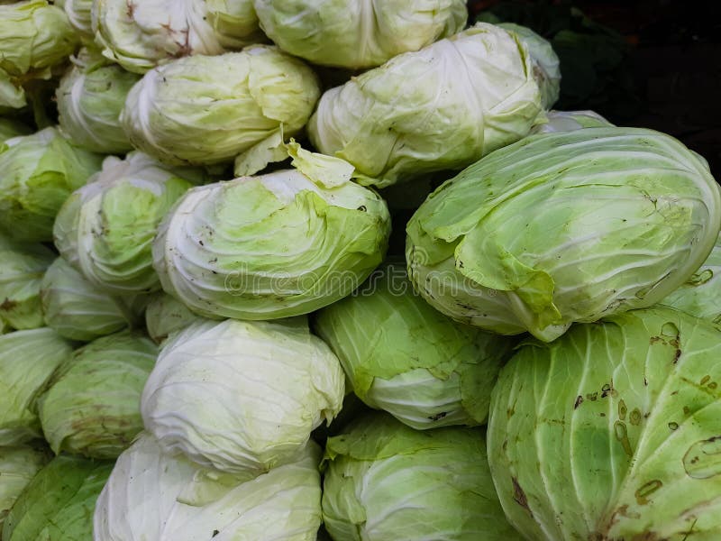 Portrait of Piles of Cabbage in a Vegetable Shop Stock Image - Image of ...