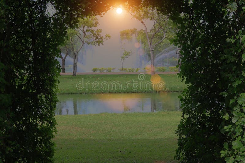 Photo of a Sunlit Tree Arch Against a Natural Backdrop Stock Image ...