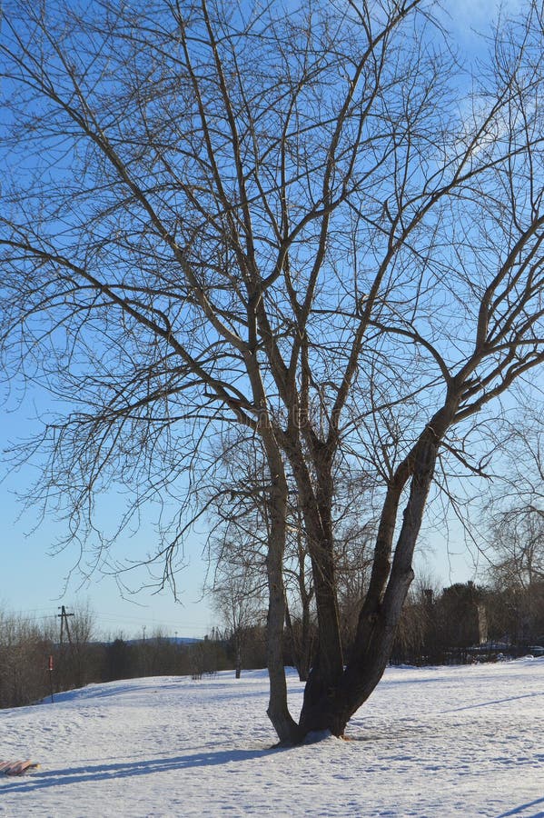 Sunny Spring Day in March 26,2020 Stock Photo - Image of kandalaksha ...
