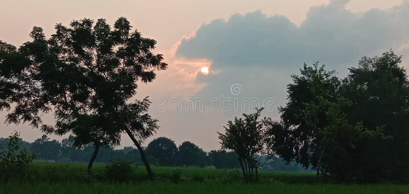 It is an Image of Sunset with Clouds and Tree and Green Field in India ...