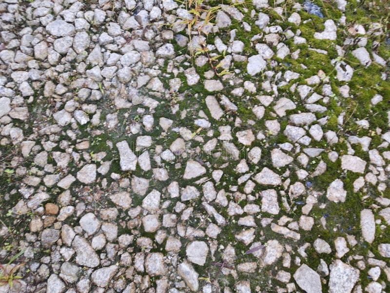 The Surface Ground Texture of Rural Pathway Made Up of Aggregated ...