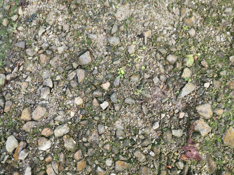 The Surface Ground Texture of Rural Pathway Made Up of Aggregated ...