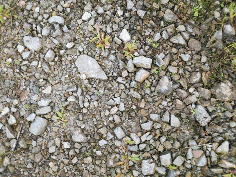 The Surface Ground Texture of Rural Pathway Made Up of Aggregated ...