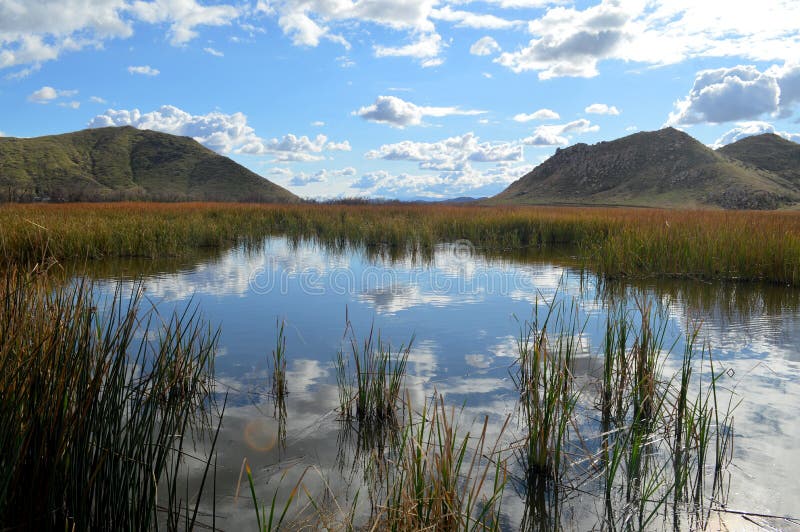 Swamp & Reflection of Clouds on Water Stock Image - Image of swamp ...