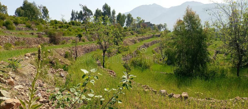 Timergara Stock Photos - Free & Royalty-Free Stock Photos from Dreamstime