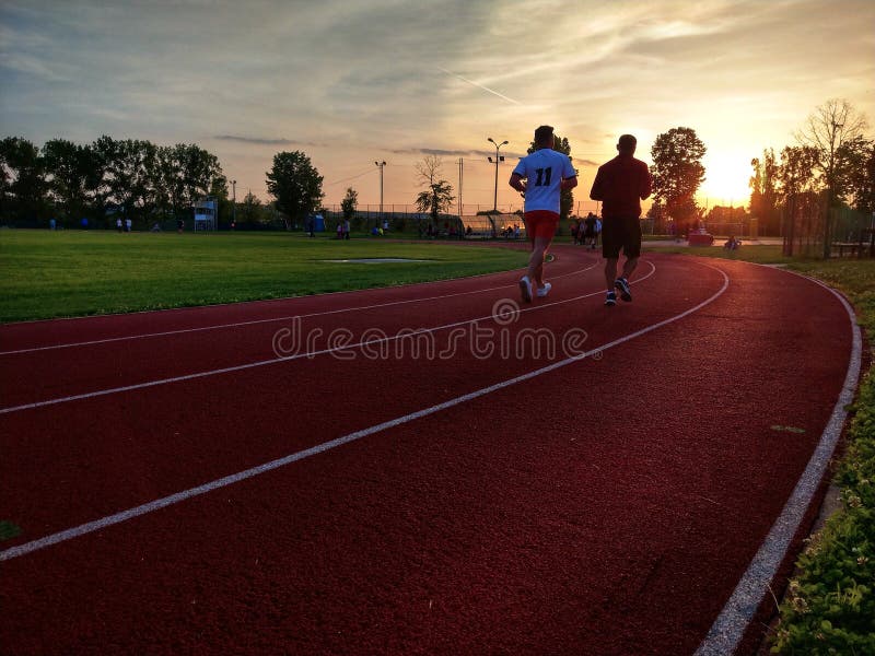 Sunset at the racetracks. editorial stock photo. Image of hurdle ...