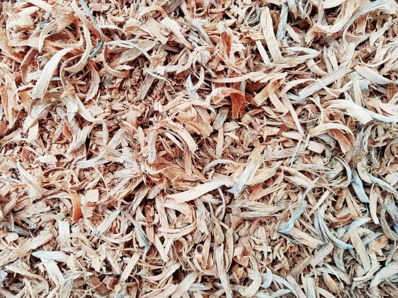 Image of the Texture of Chopped Wood Dust Left Over from Cutting Down ...