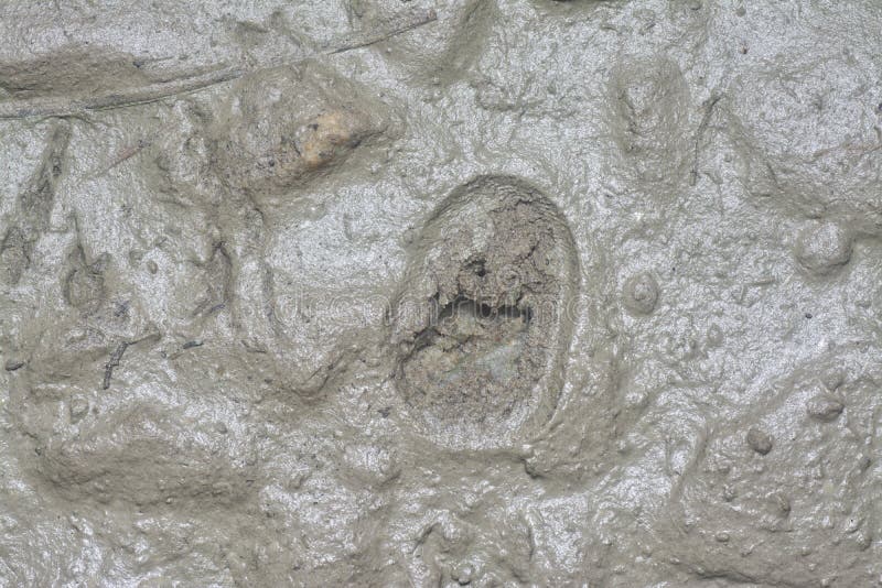 Texture of the Muddy Gravel Surface Stock Image - Image of dust, field ...