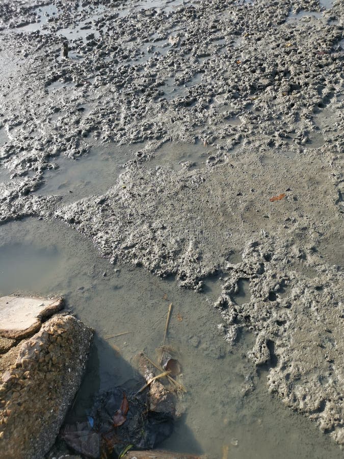 Texture of the Muddy Swamp Surface Stock Photo - Image of field, rock ...
