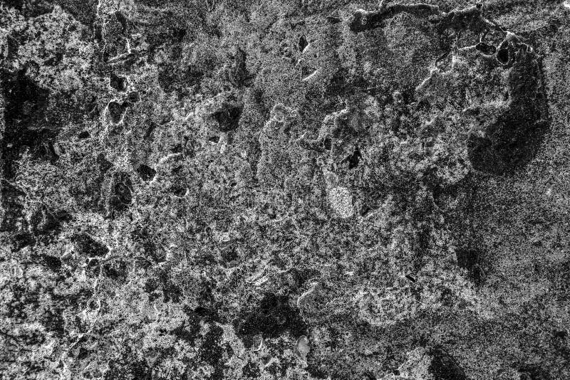 474 Bnw Texture Photos - Free & Royalty-Free Stock Photos from Dreamstime