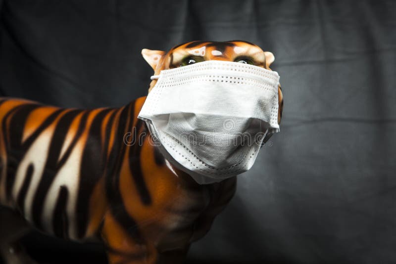 Image of Tiger Mask Dark Background Stock Image - Image of ncov ...