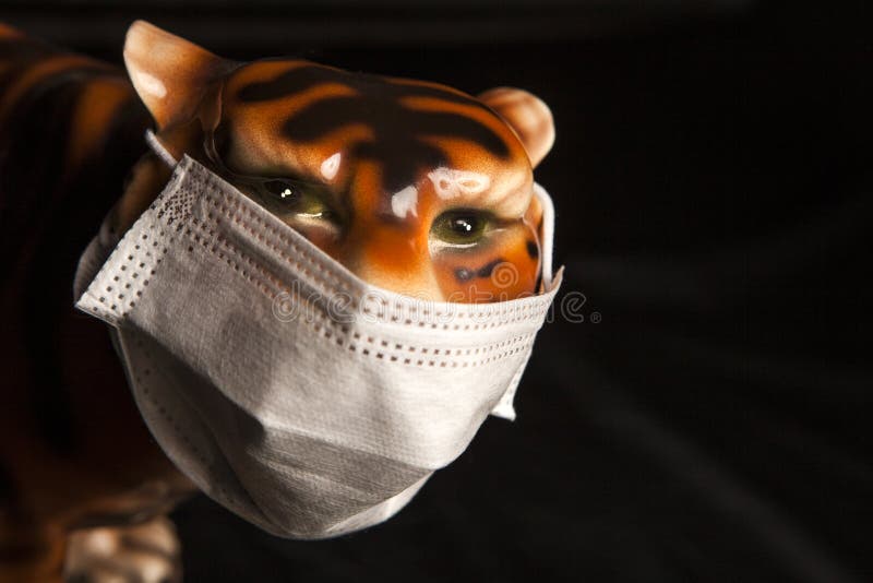 Image of Tiger Mask Dark Background Stock Photo - Image of corona, care ...