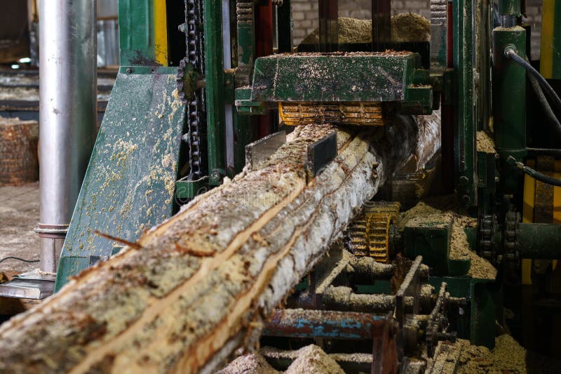 Image of Timber Machining at Sawmill Stock Photo - Image of sawmill ...