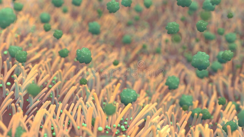 An Image on the Topic of Microbiology Stock Photo - Image of death ...