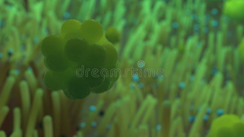 An Image on the Topic of Microbiology Stock Image - Image of pandemic ...