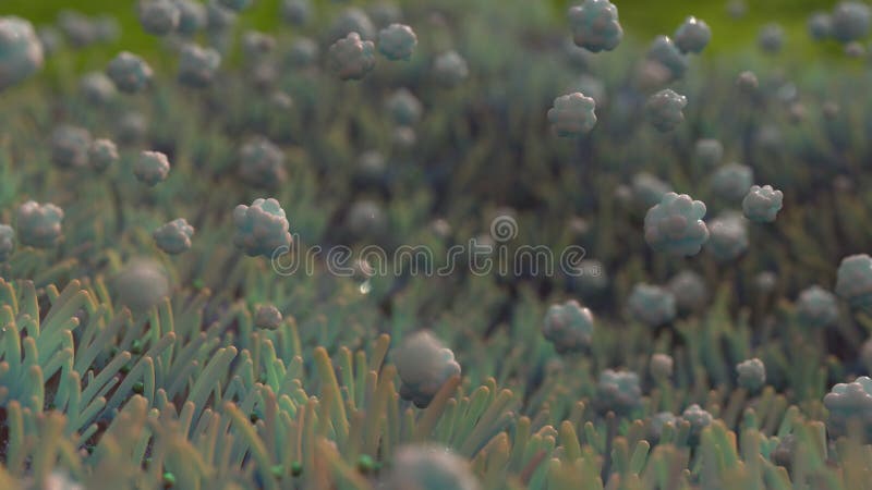 An Image on the Topic of Microbiology Stock Photo - Image of graphic ...