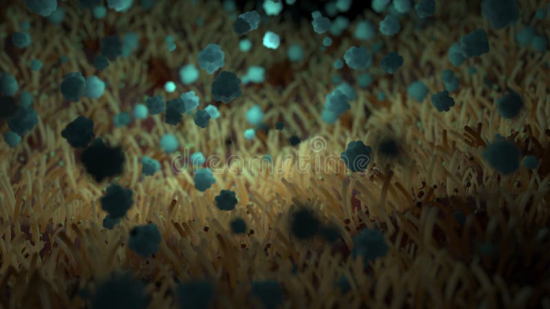 An Image on the Topic of Microbiology Stock Image - Image of bacterium ...