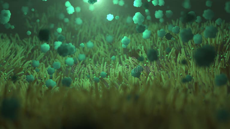 An Image on the Topic of Microbiology Stock Image - Image of organism ...